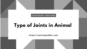 Types of Joints in Animal - Identification of Animal Joints with Bone ...